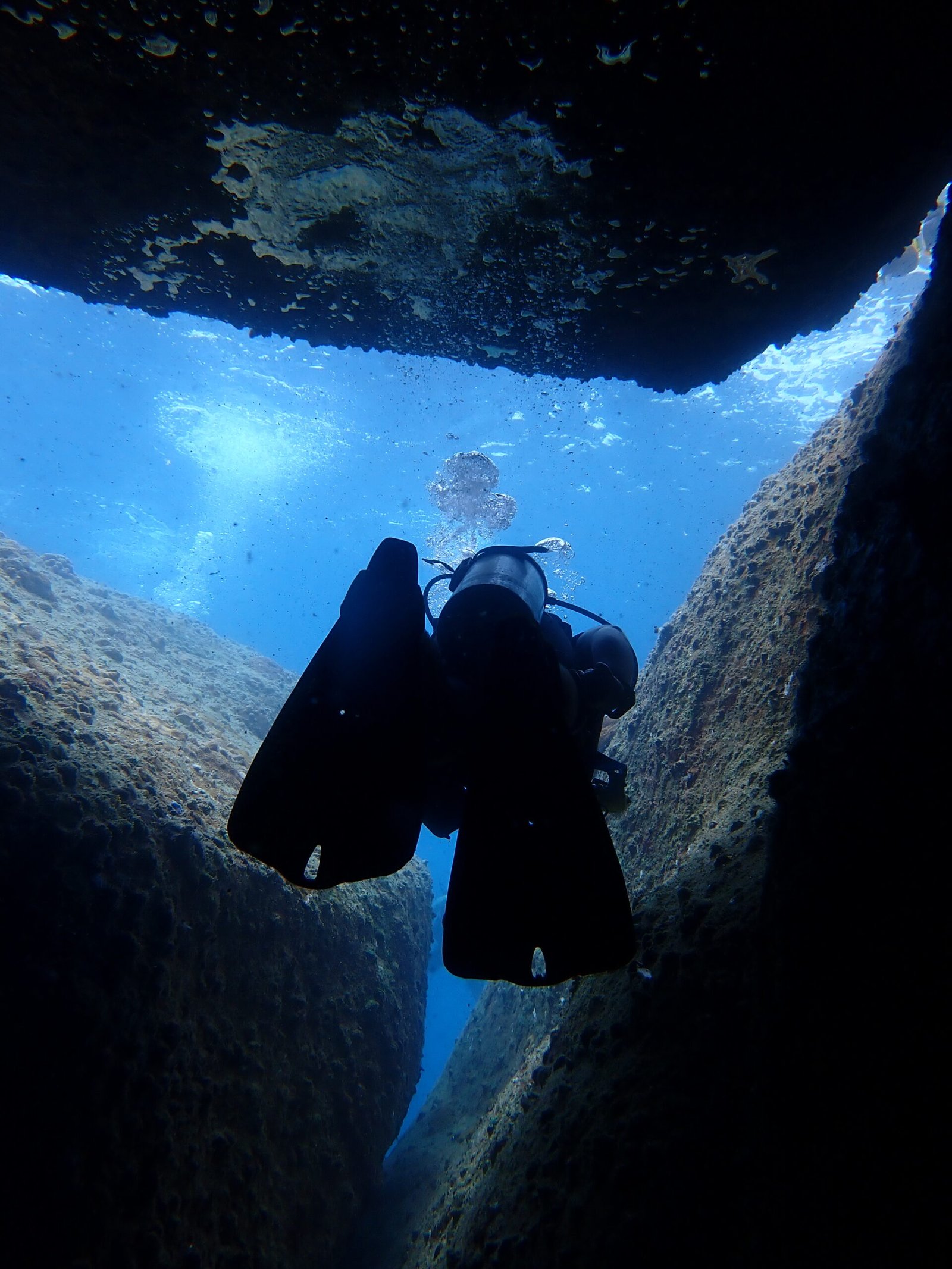Plongée à Koh Tao - cours SSI et CMAS avec Calypso Diving | Calypso Diving Koh Tao Thailand